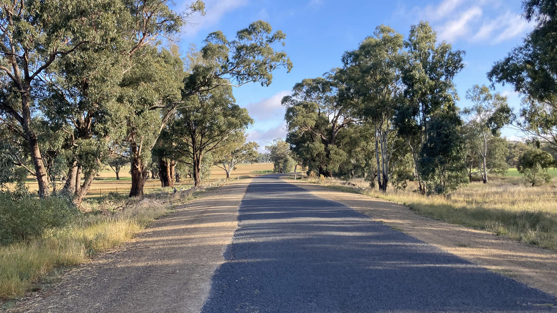 Illabo to Stockinbingal: Works & Planning Information - Inland Rail