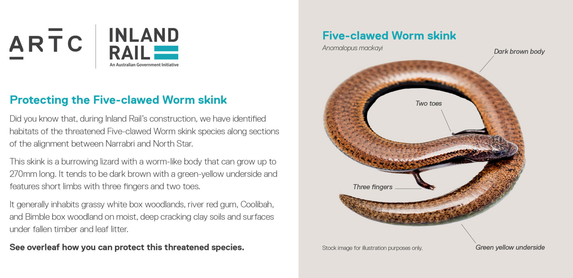 Narrabri to North Star Phase 1: Works & Planning - Inland Rail