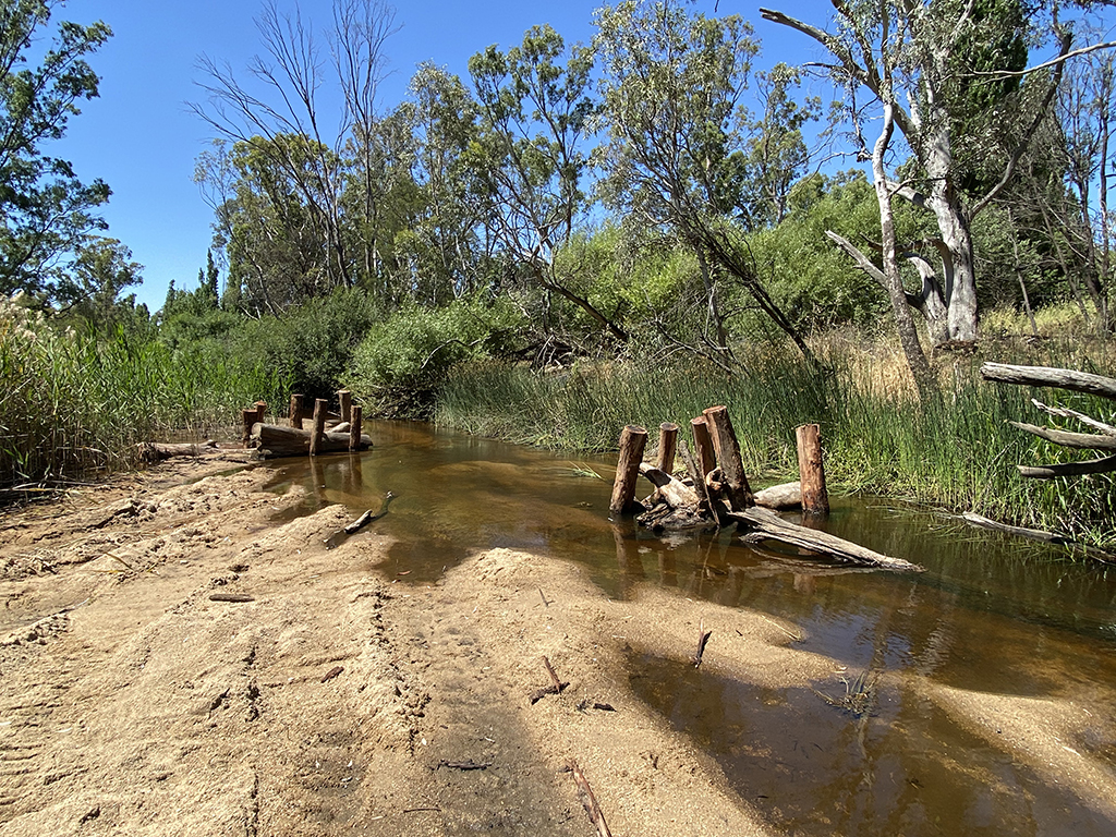 Beveridge to Albury: Improving fish habitat - Inland Rail
