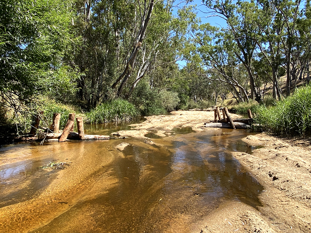 Beveridge to Albury: Improving fish habitat - Inland Rail